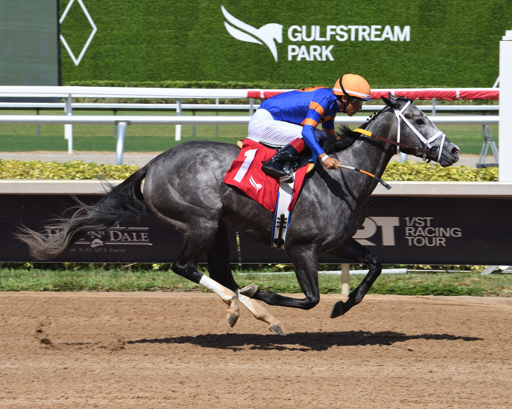 Graded winner Haulin Ice tries turf in Abundantia at Gulfstream Park