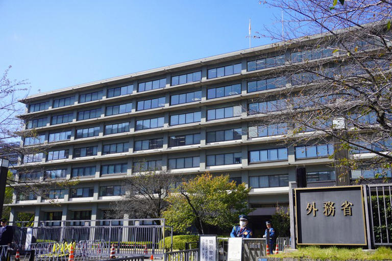 Japan to review 'Africa hometown' program after false claims about ...