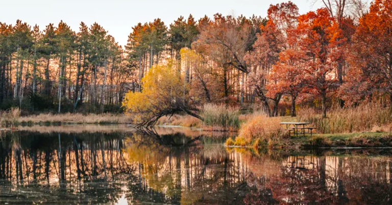 The Best Spots to See Fall Foliage in Iowa 2025