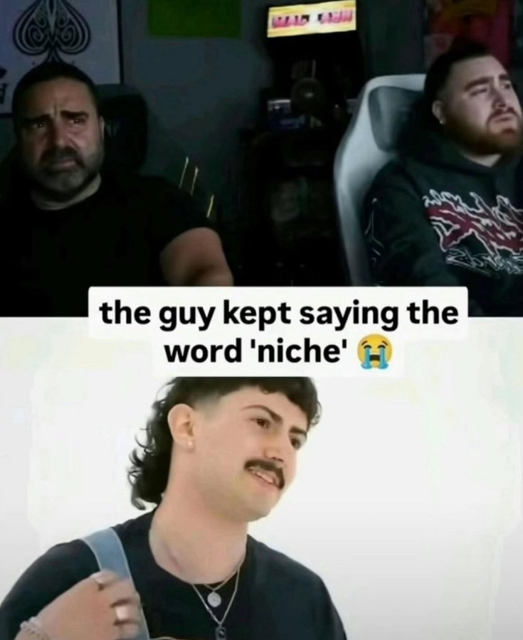 What Is TikTok's 'Niche Community'? The 'NicheTok' Subculture That ...