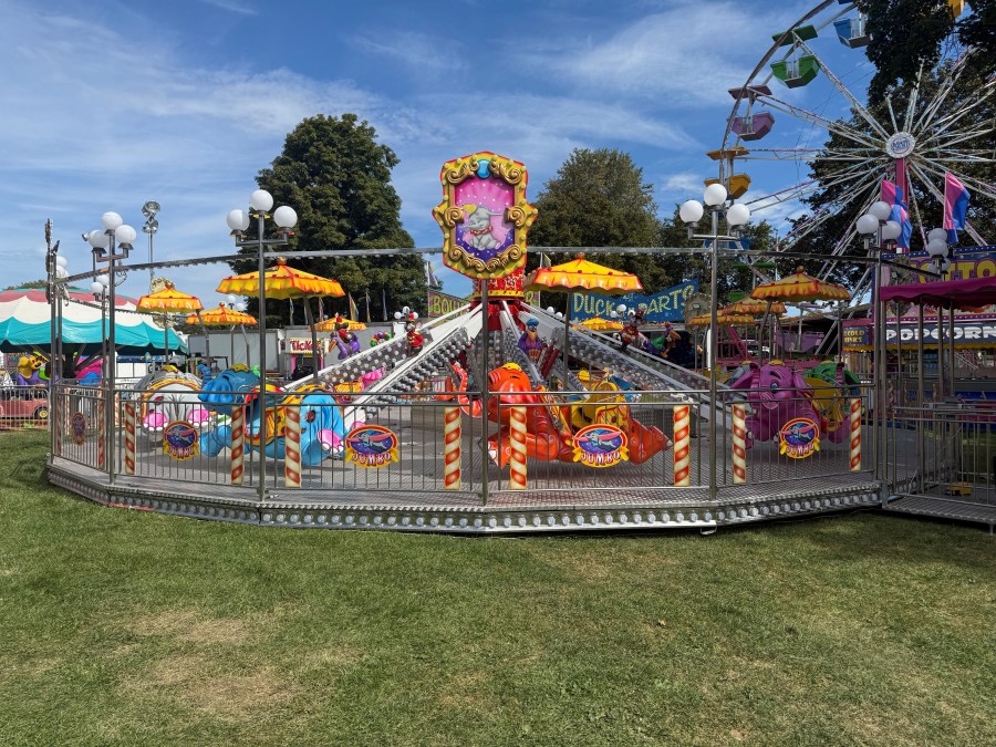 Big Flats to host 71st annual community days