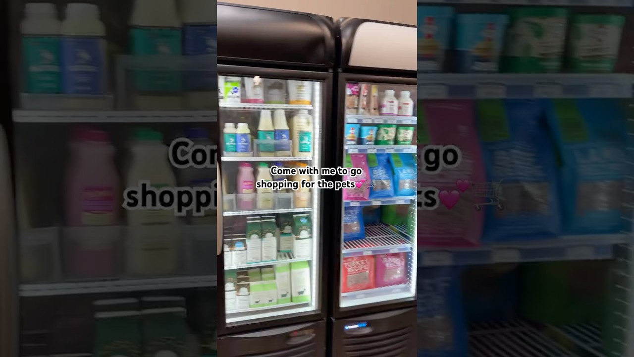 Doberman owner shares must-have items at the pet store