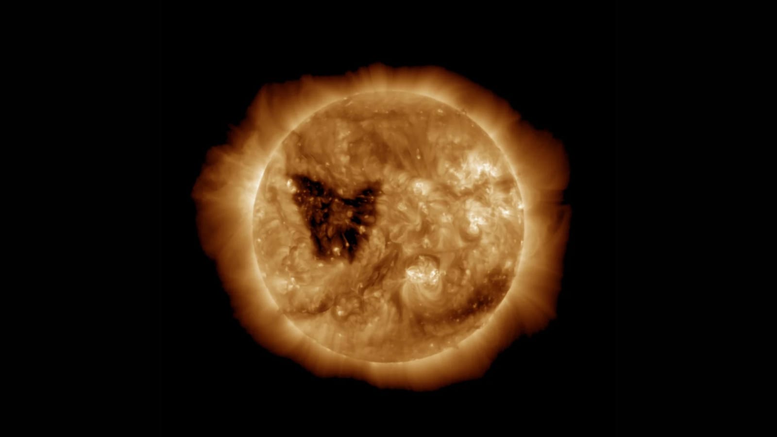 NASA 'Alarmed' As Sun Shows Unusual Activity: Here's How It's Going To ...