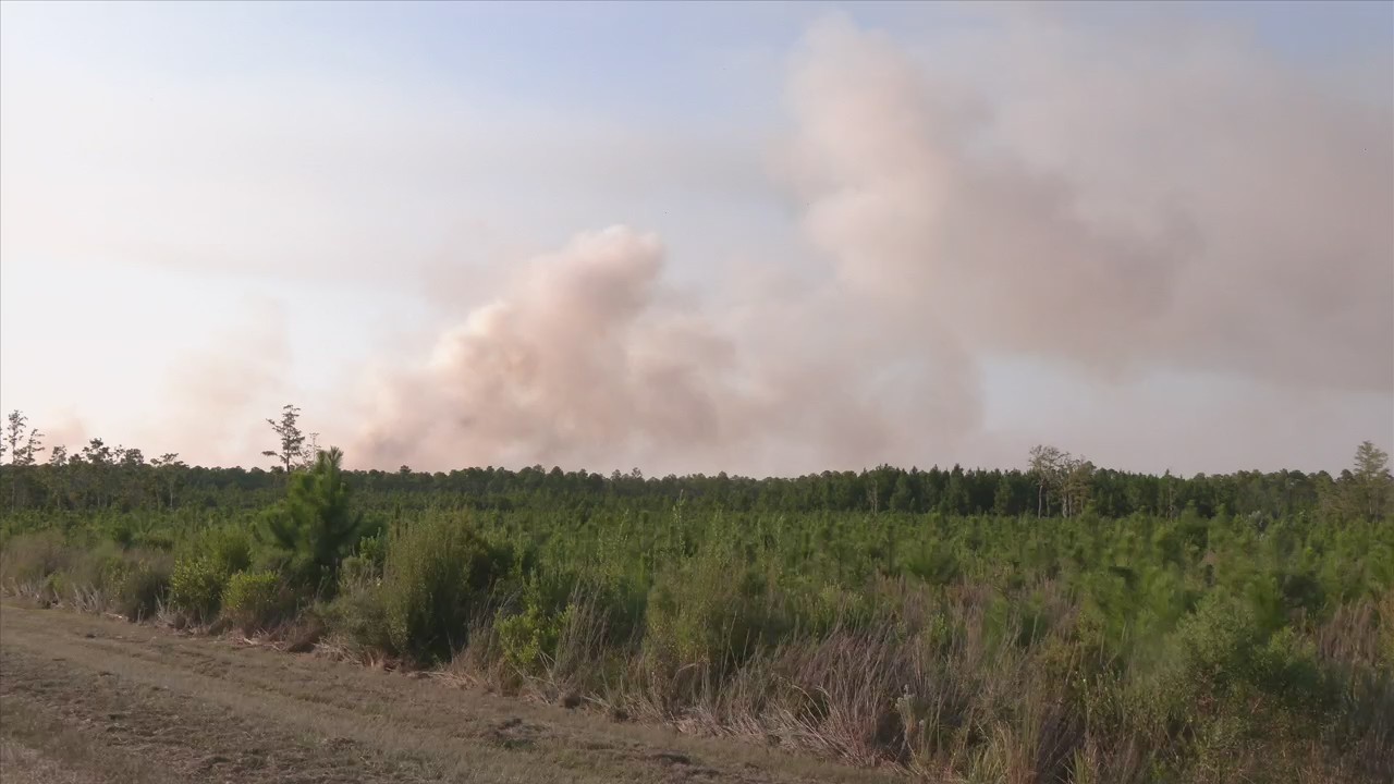 "Out of control burn" closes West Bay Bridge Hwy, Hwy 79, prompts ...