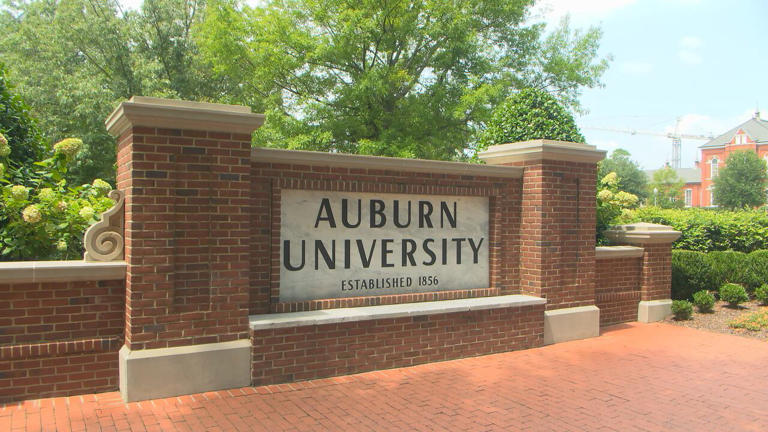 Auburn named among nation’s top 10 most-searched colleges online