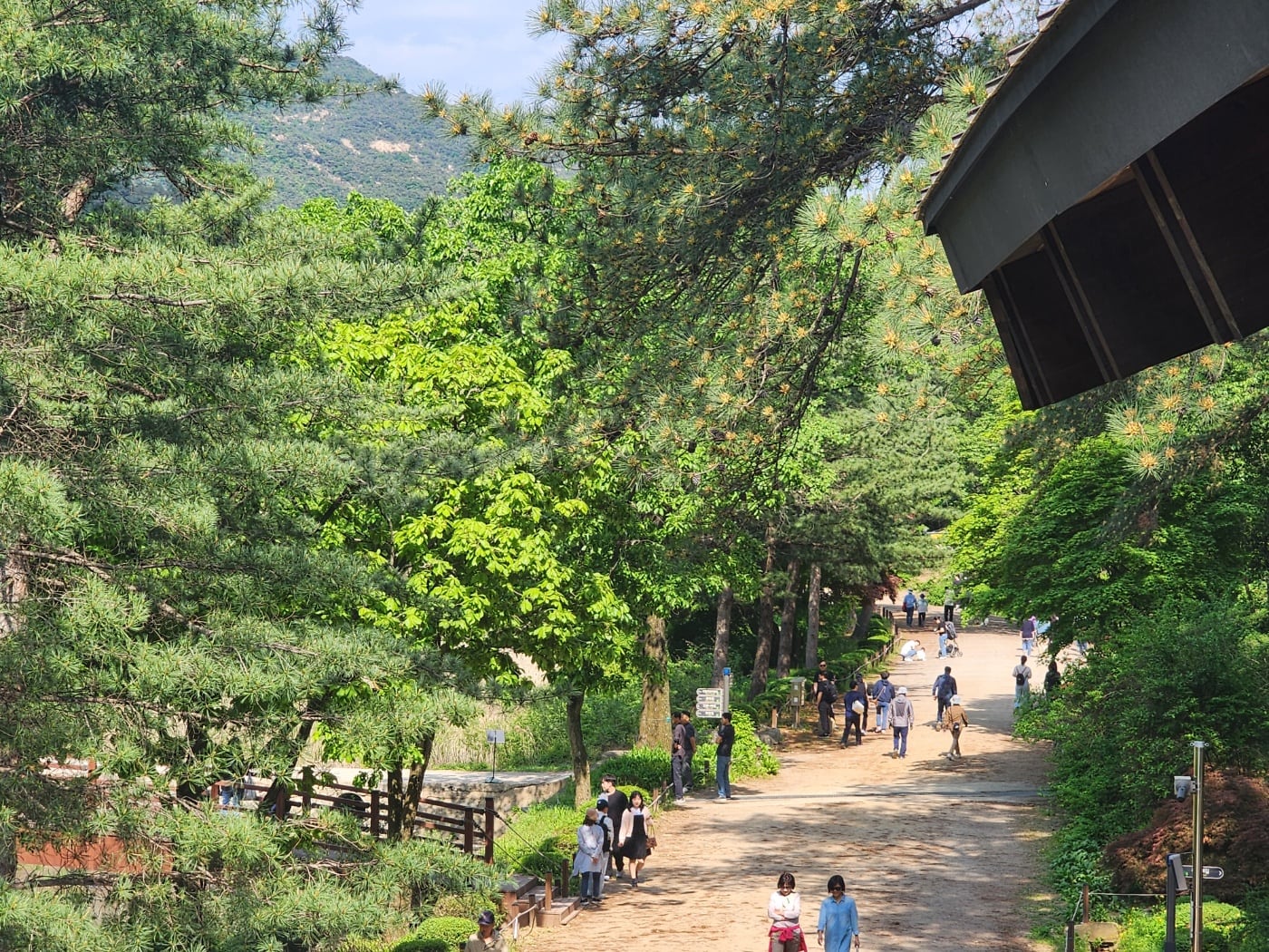 Seoul National University to permanently open Gwanak Arboretum after 58 ...