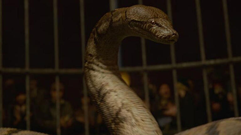 ‘Harry Potter’: History Of Voldemort And Nagini’s Bond Explained