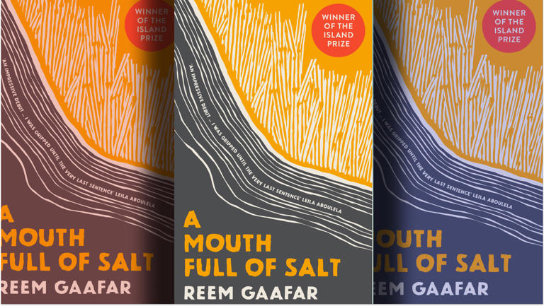 A Mouth Full of Salt: Reem Gaafar’s captivating tale of identity and ...