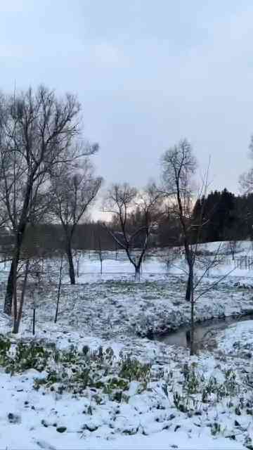 Learning to Love Winter (Even When I Don’t)