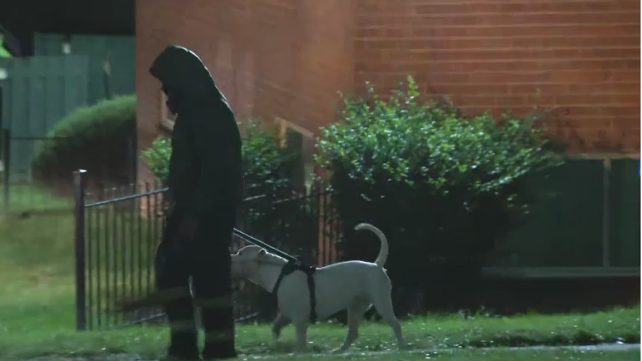 3 injured, at least 2 juveniles, in alleged dog attack in Prince George ...