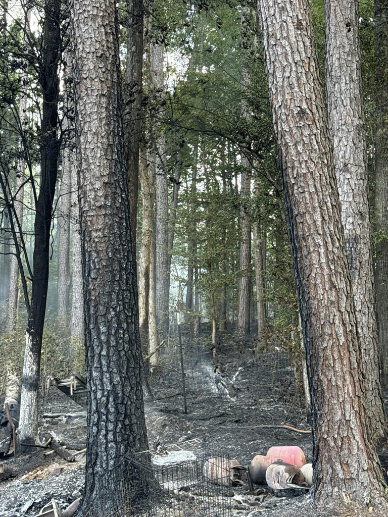 Hudson Fire Department extinguishes brush fire in Angelina County