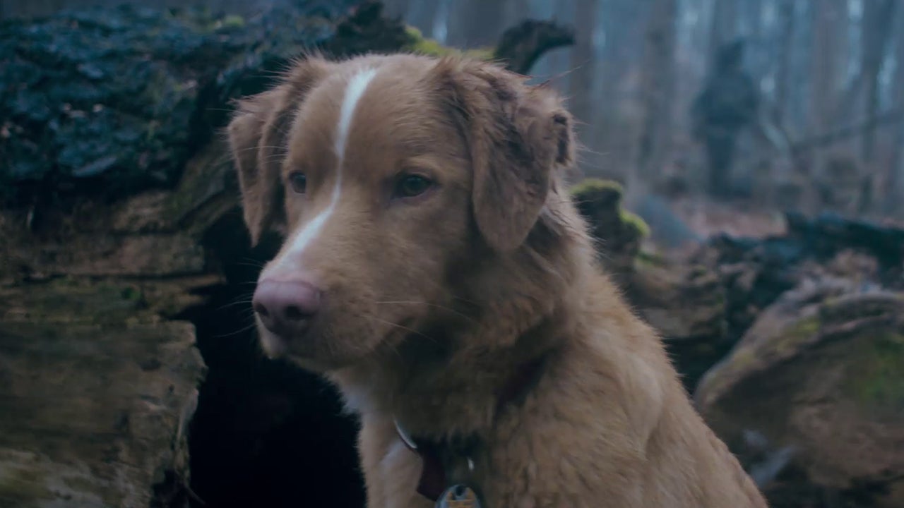 Good Boy - Official Final Trailer