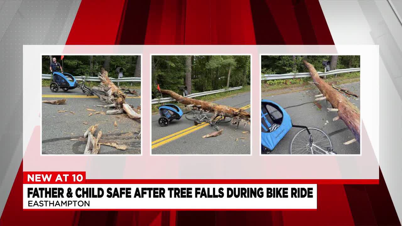 Cyclist riding with child struck by fallen tree