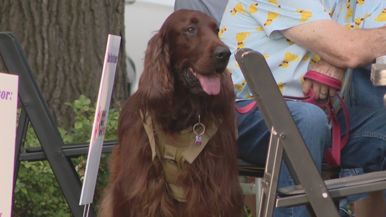 Pet Choice Awards offers chance to win $24,000 in spay or neuter funding