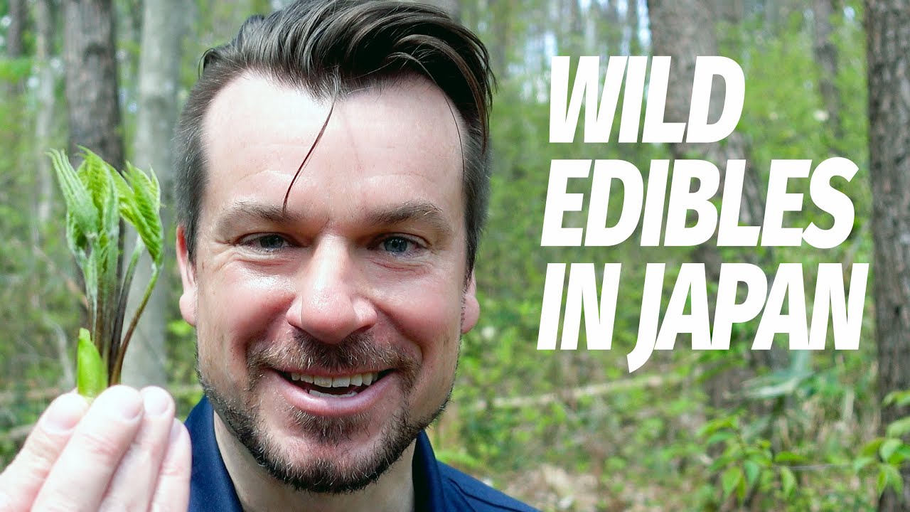Foraging for Wild Vegetables in Japan (Koshi Abura)