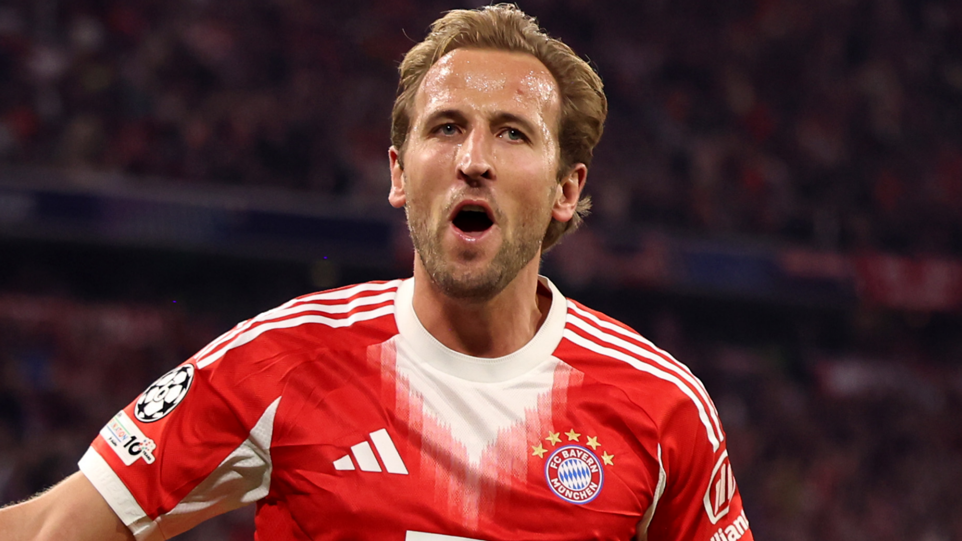 Transfer talk over? Harry Kane tipped to remain at Bayern Munich ‘for a ...