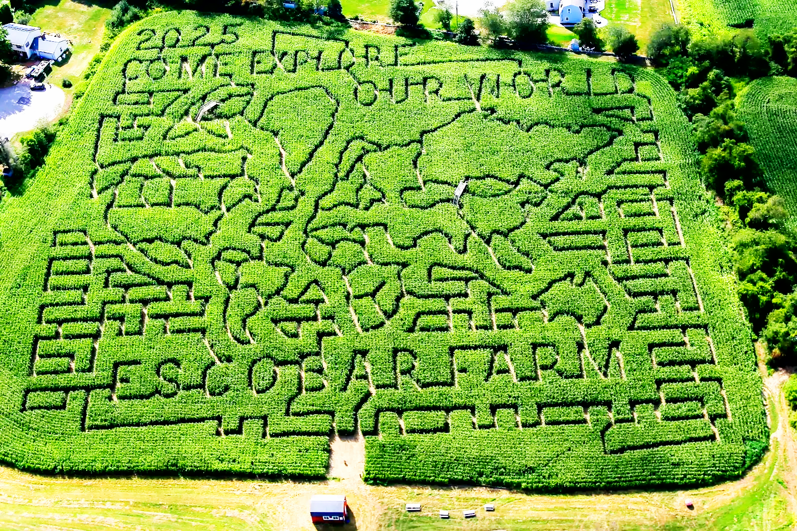 Escobar's Corn Maze goes global. Check out the 2025 design