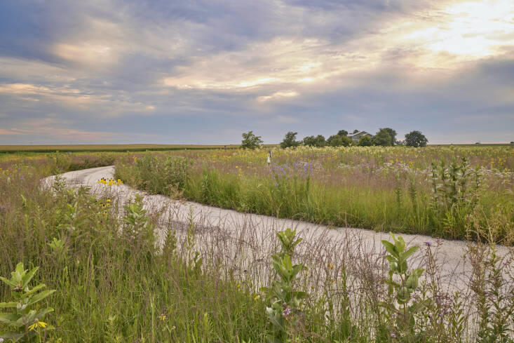 The Garden as a Restored Prairie: A Sneak Peek from Our New Book ‘The ...