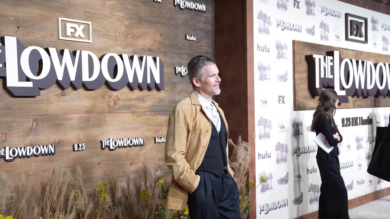 FX premiere of 'The Lowdown' - 64113884