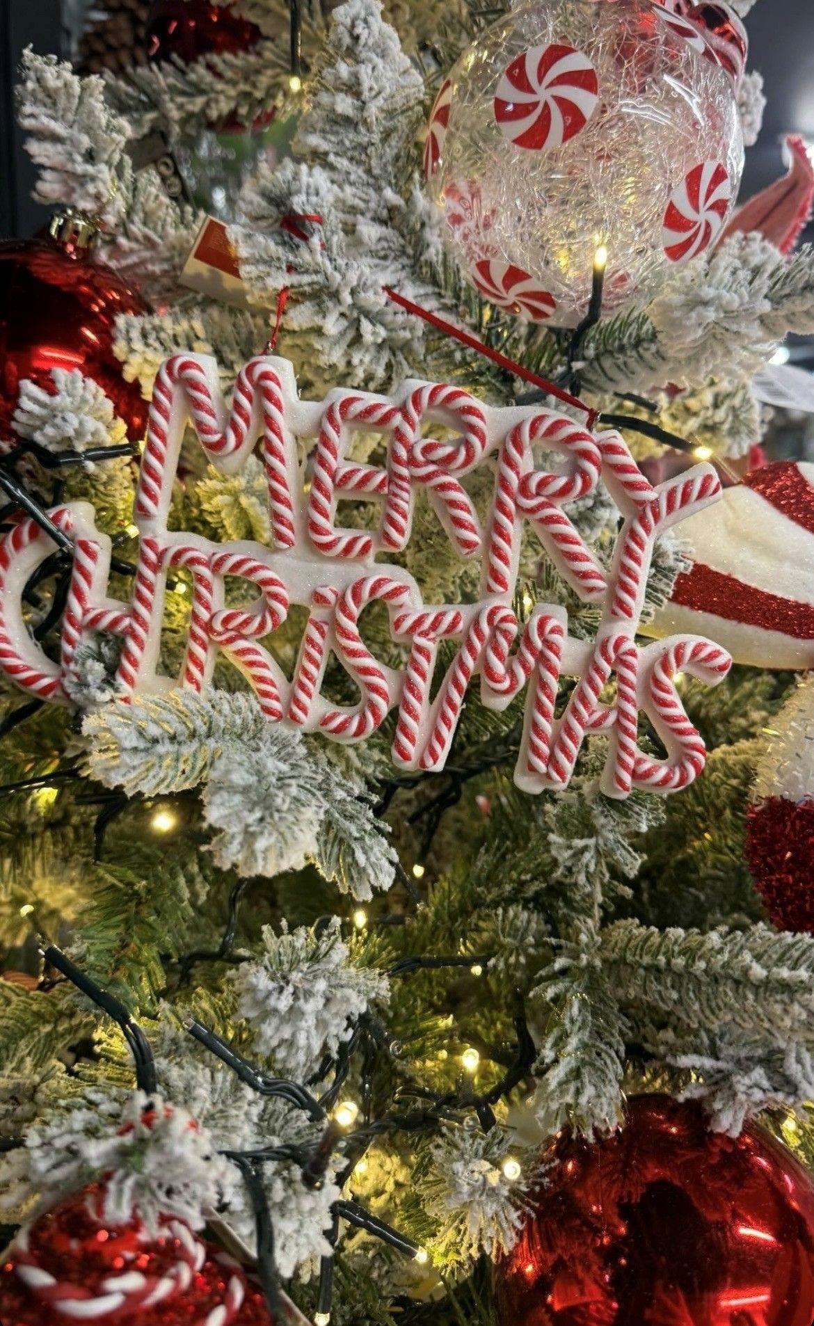 The countdown is on! Light up your Christmas with Woodthorpe Garden Centre