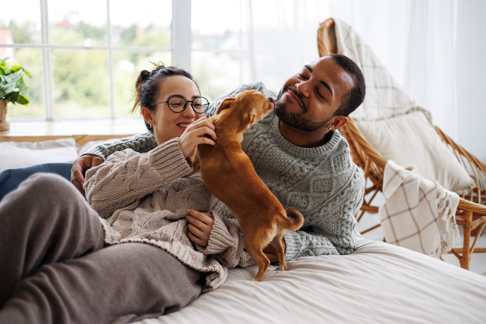 Science confirms: your brain thinks your dog is a baby