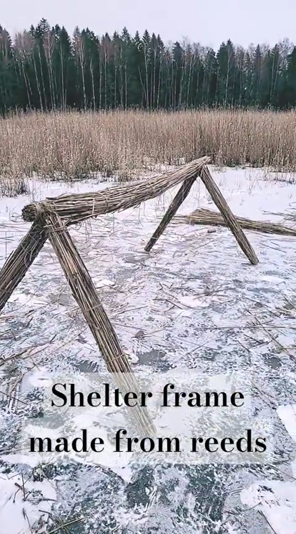 Reed Shelter Frame Build | Simple Bushcraft Shelter Construction