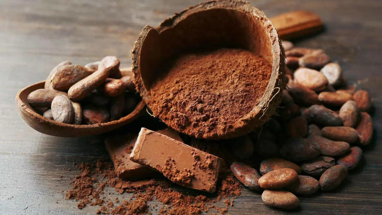 Cacao or cocoa: How to choose the best chocolate powder for cooking and ...