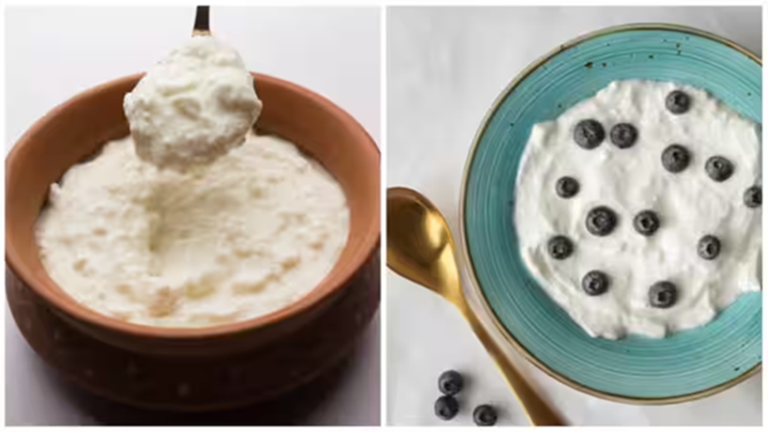 Indian yogurt or Greek yogurt: Which is healthier? Learn the answer here..