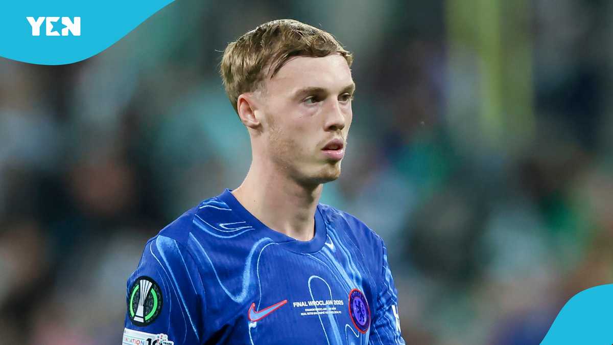 Cole Palmer slams Chelsea teammates after 3-1 Bayern UCL defeat