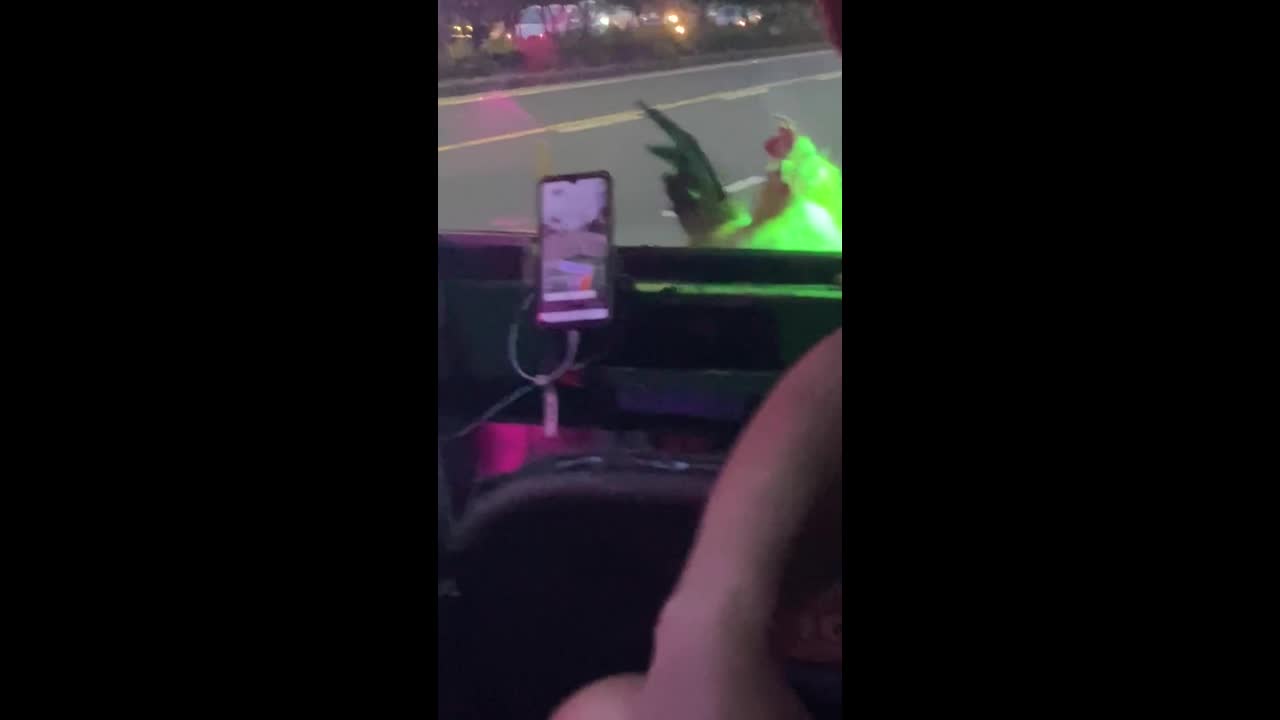 Easy-riding rooster cruises on the front of jeepney