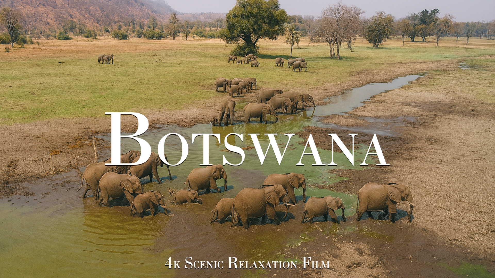 Botswana erleben – Safari im Okavango-Delta in 4K