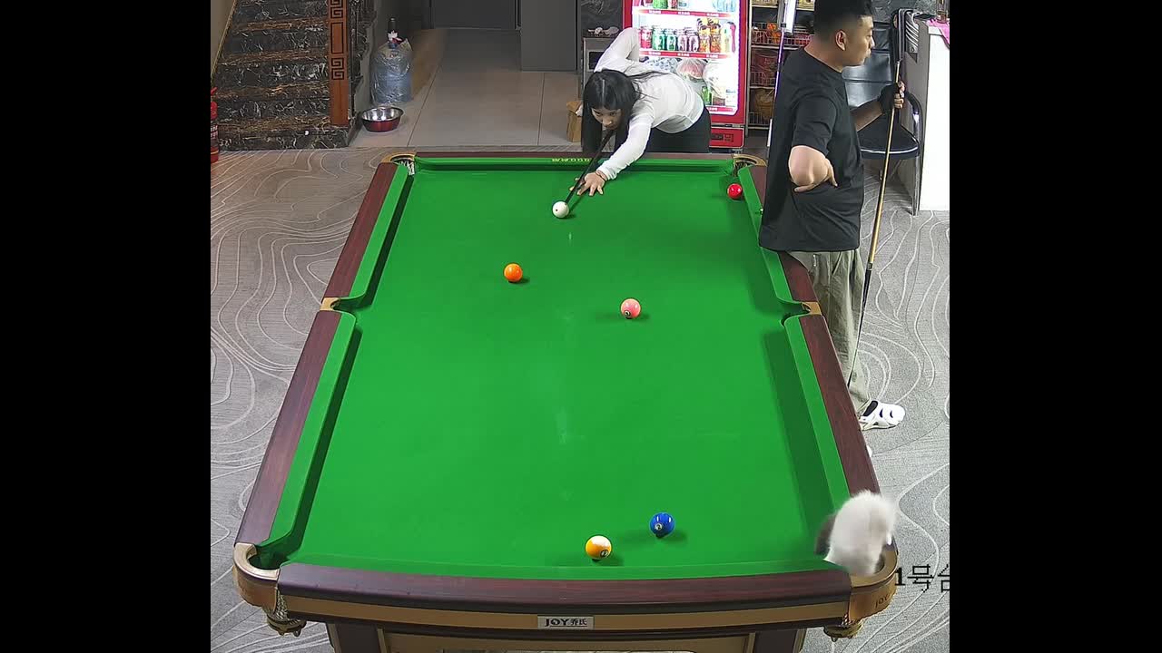 Cat chases billiard balls on pool table in Heilongjiang, China