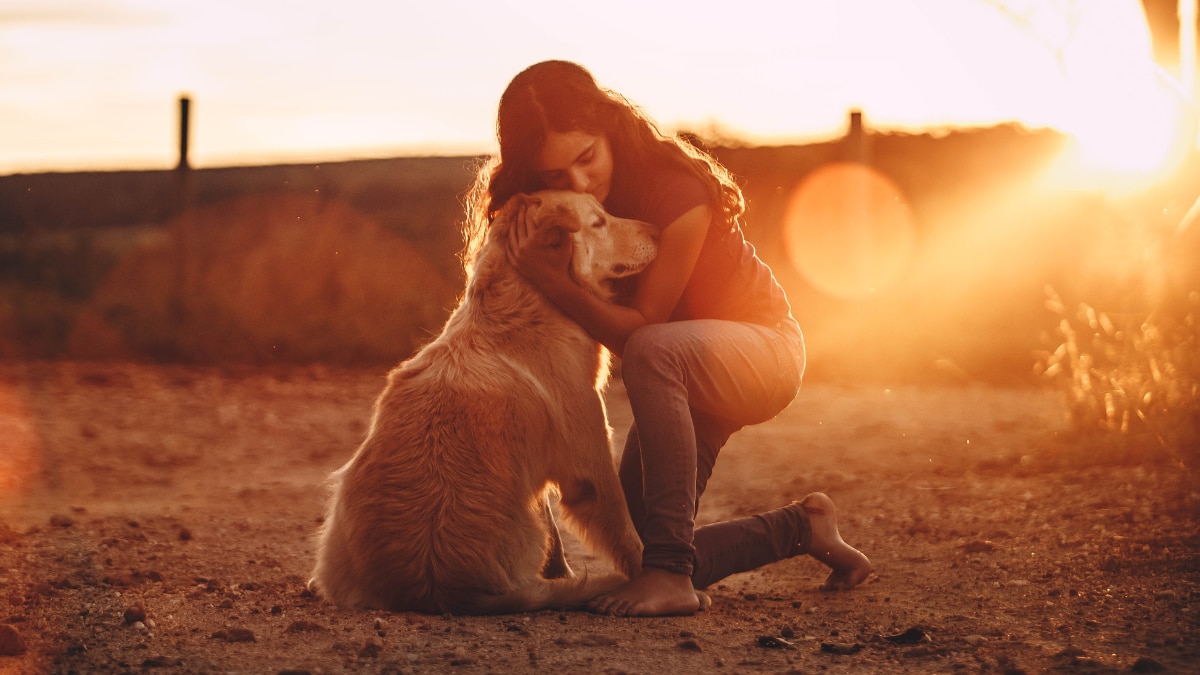 Anxiety, Stress, Burnout? Your Dog Might Be The Best Therapist You'll ...