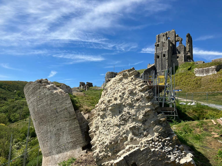 Plants removed to conserve castle's fallen tower