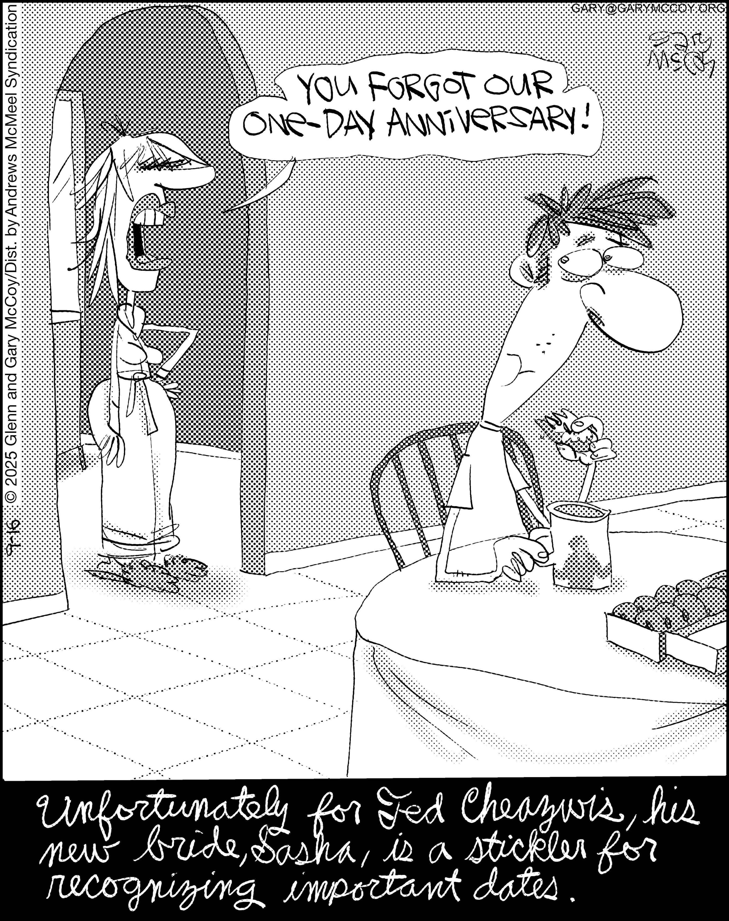 The Flying McCoys by Glenn and Gary McCoy