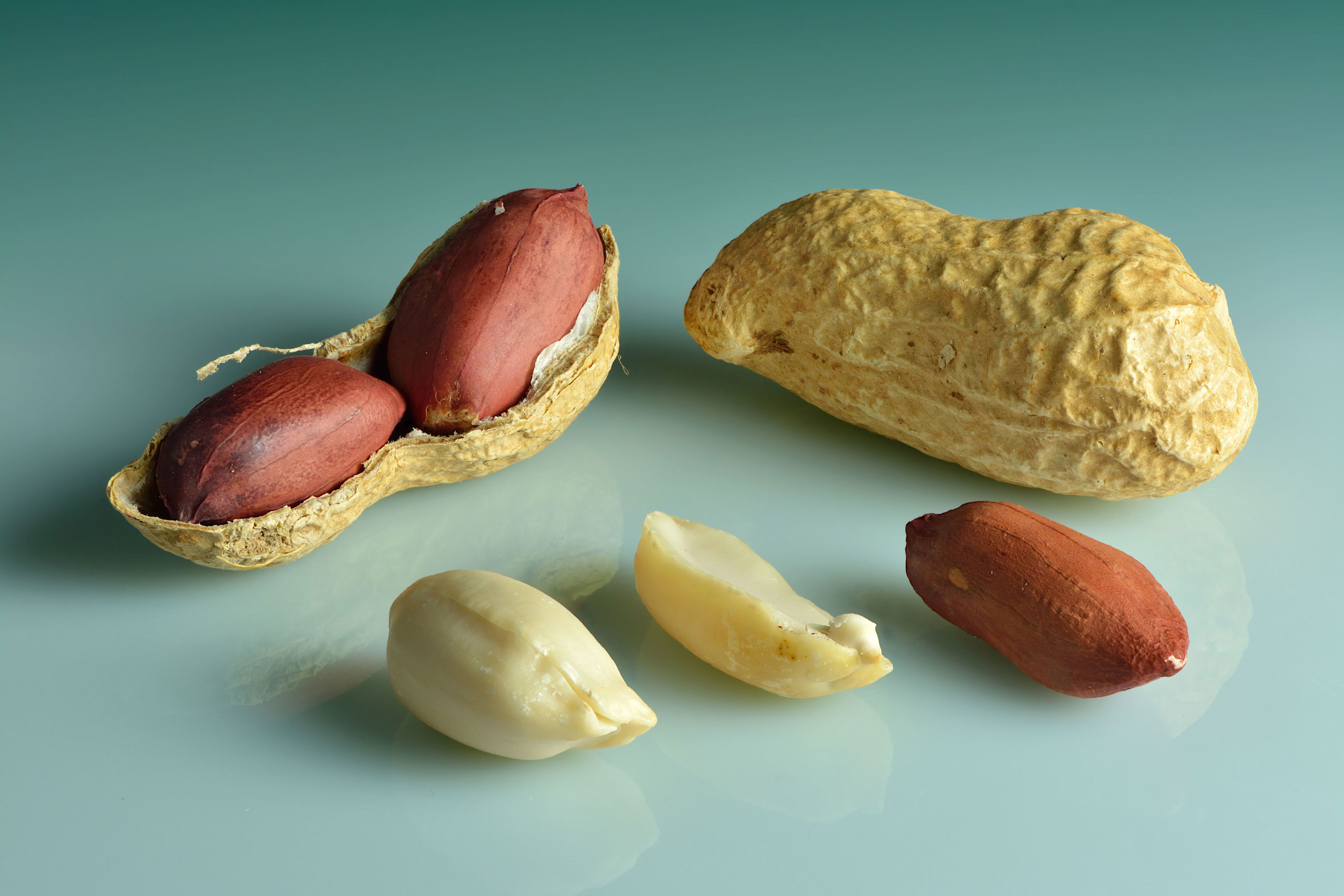 14 Nuts Ranked By Protein Content, According To Dietitians