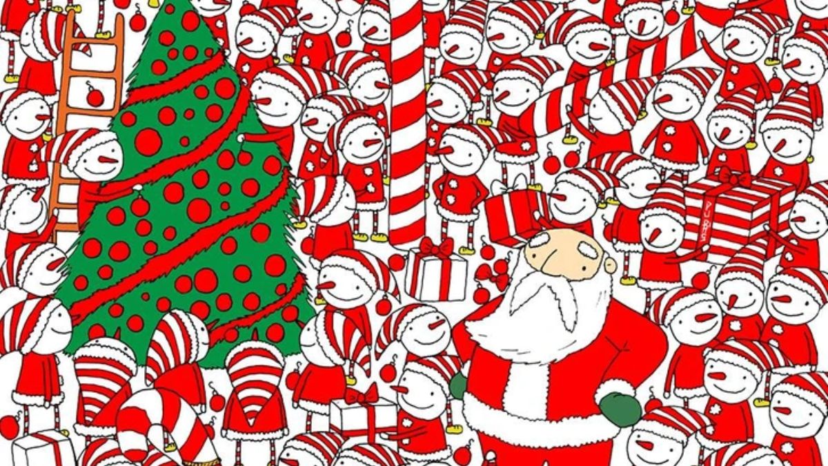 Prove You Have Hawk's Eye Vision, Help The Santa Find His Hat In 12 ...