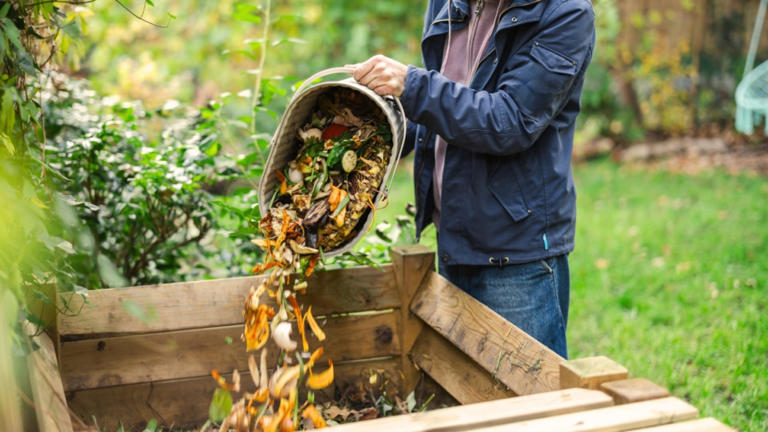 Fall Composting Tips