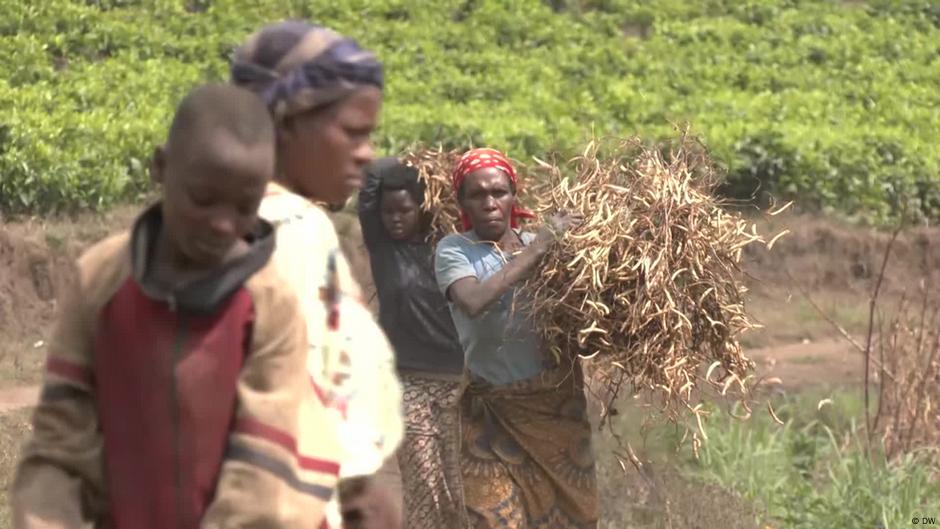Community work in Burundi helps society and the environment