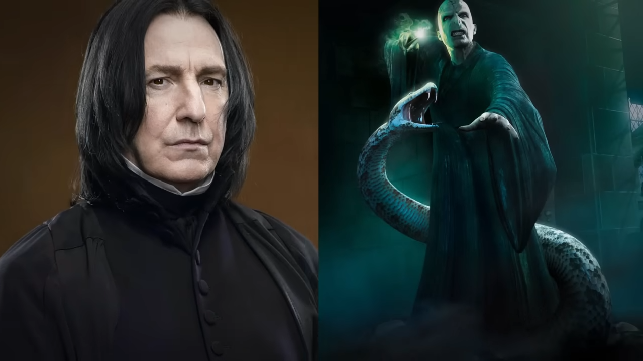 Harry Potter is the real dark lord!