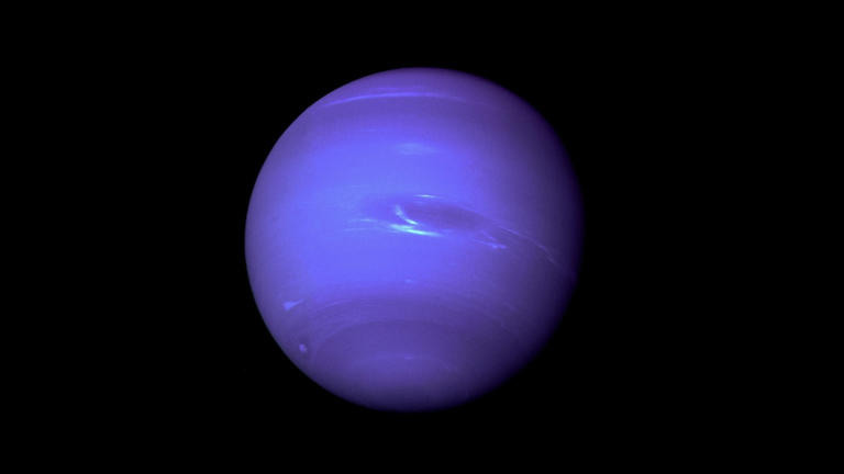 Kuiper belt anomaly suggests undiscovered Neptune-sized planet