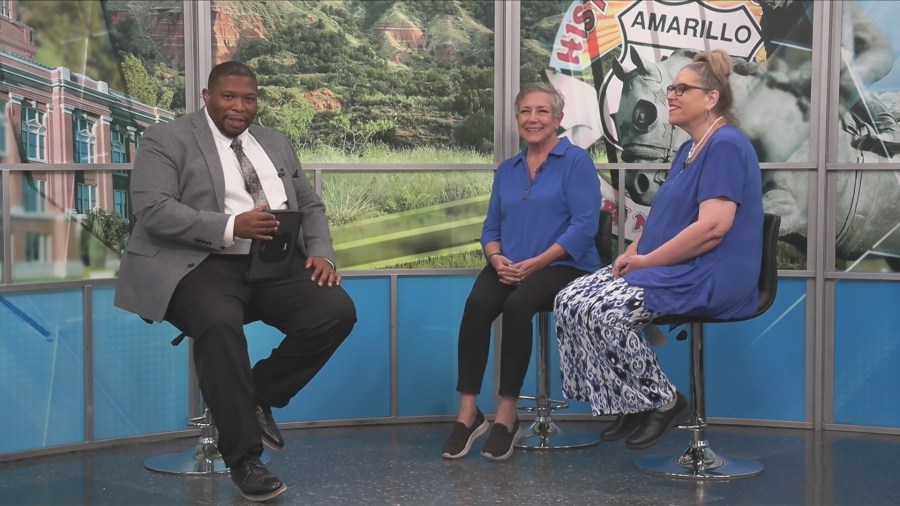 Potter & Randall County Democratic Chairs discuss Community Picnic on ...