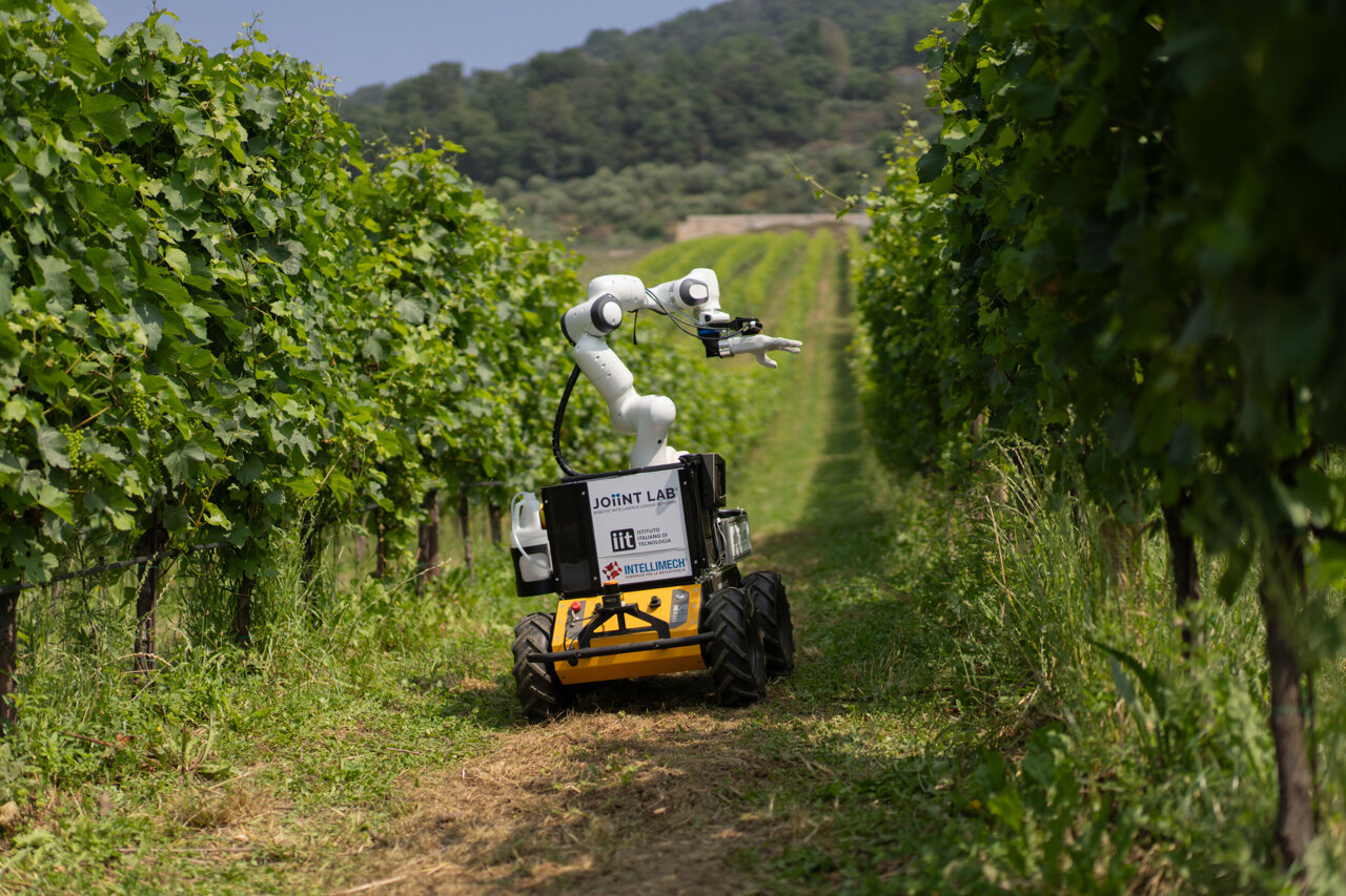 New robot developed for vineyard applications
