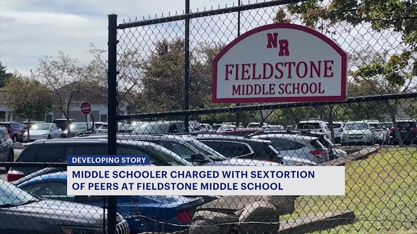 Fieldstone Middle School student arrested on felony charges, accused of ...