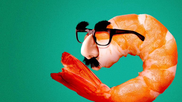 Tampa Bay restaurants still passing off imported shrimp as wild‑caught