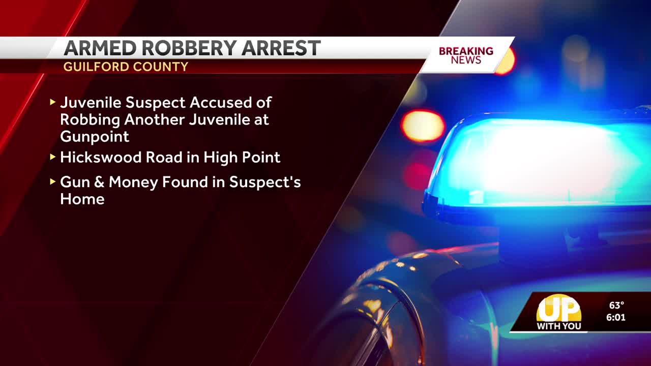 Juvenile facing gun and larceny charges after High Point armed robbery