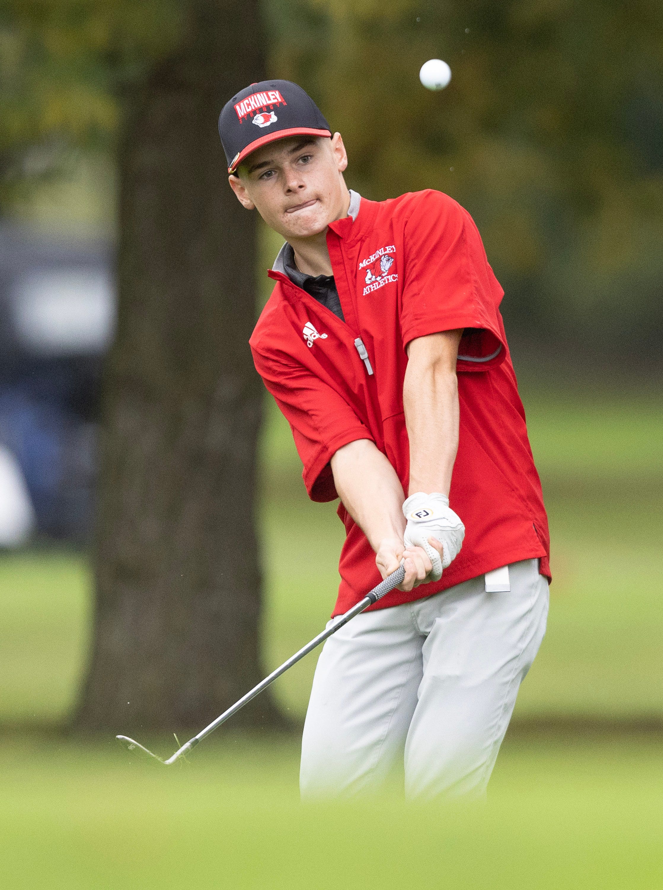 Ohio high school soccer, volleyball scores, OHSAA golf, tennis results ...