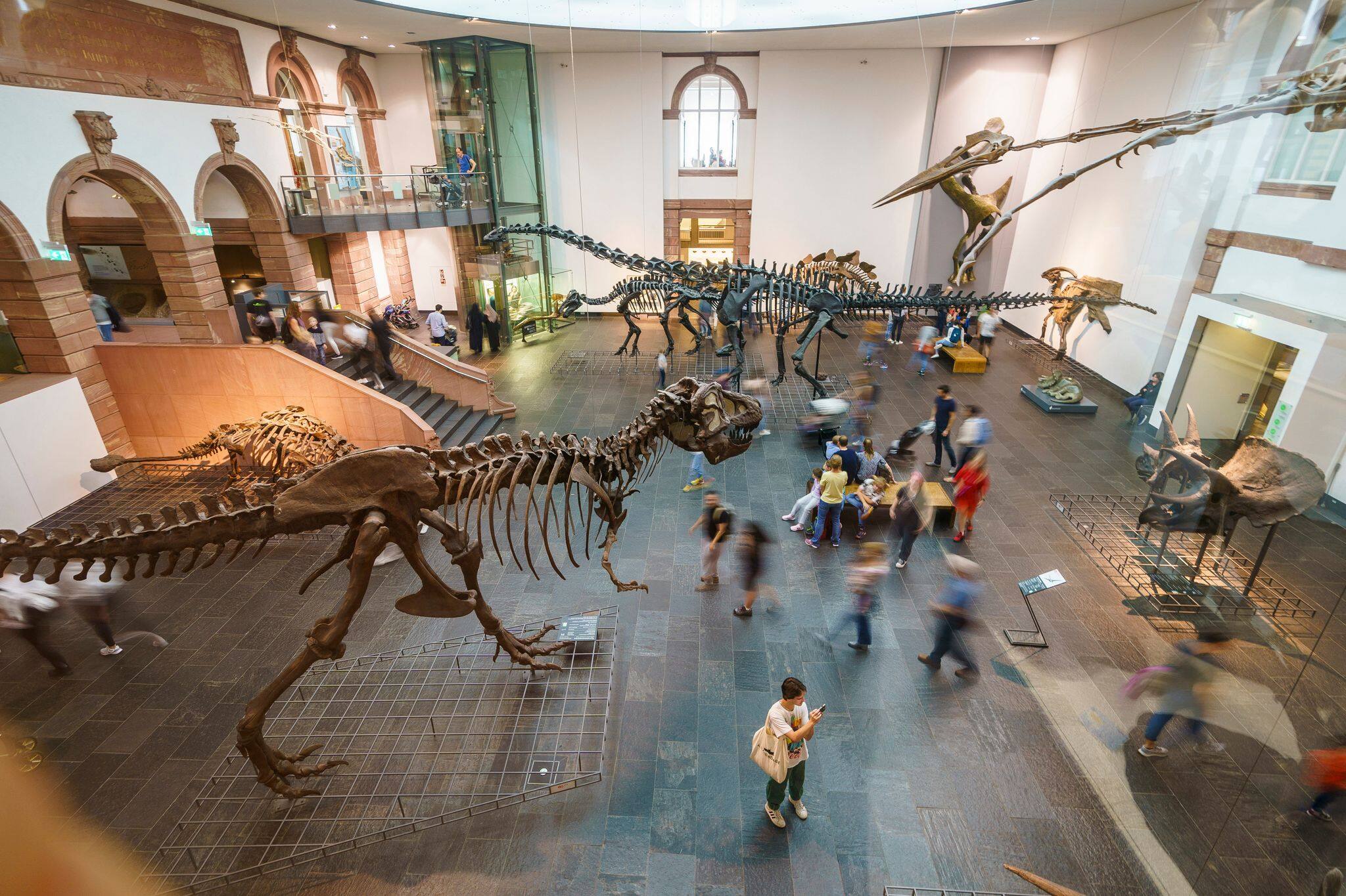 Ausstellung zeigt «die letzten Tage der Dinosaurier»