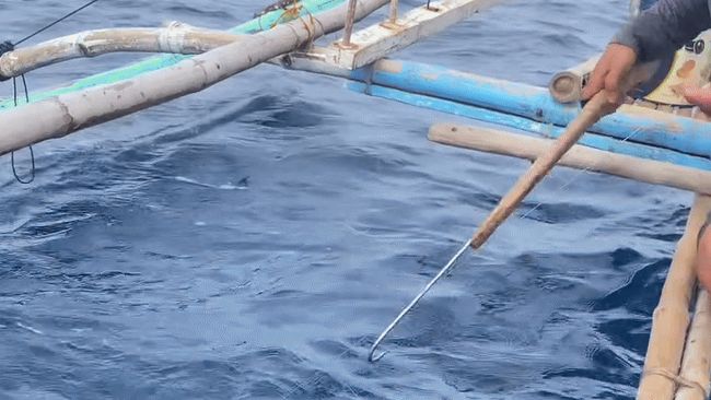 Fisherman Reeling in Squid Gets Face Full of Ink