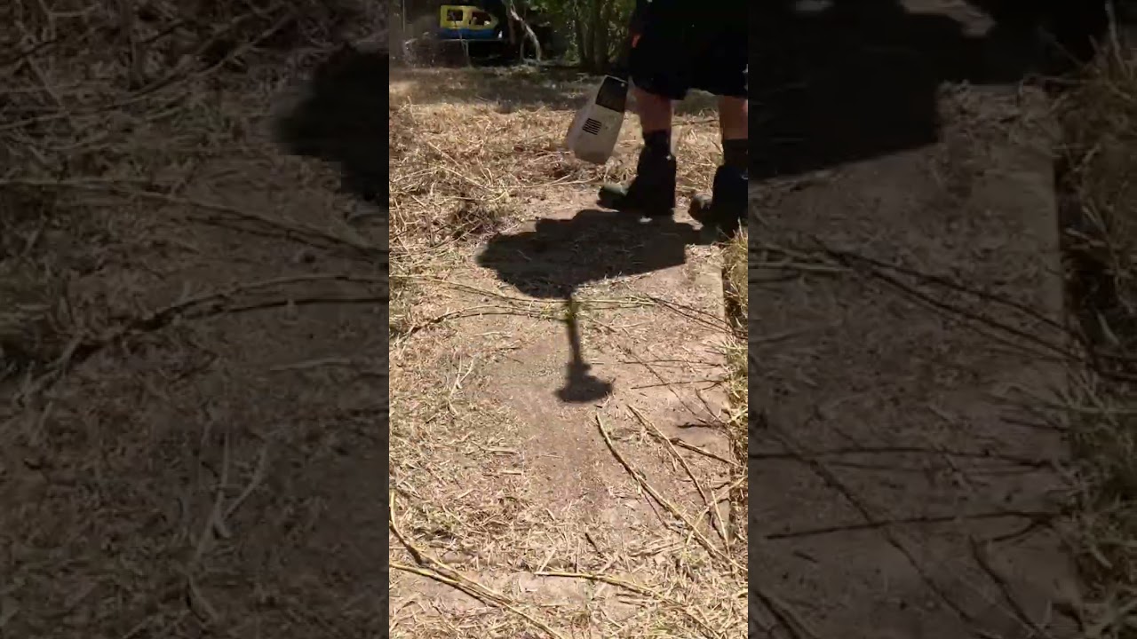 Big Reveal Under Overgrown Grass!